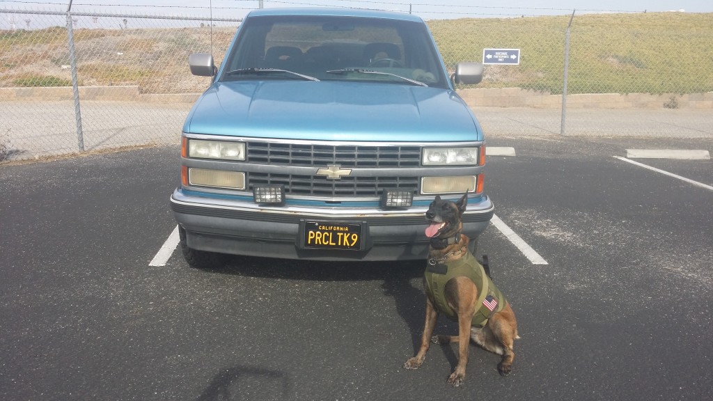 Maintenance and Problem Solving – Paraclete K9