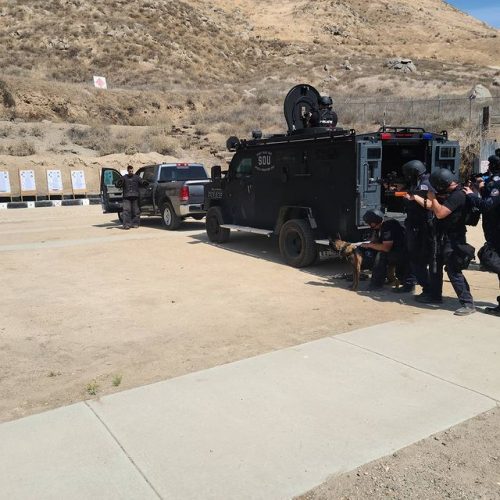 Tactical K9 / SWAT – Paraclete K9