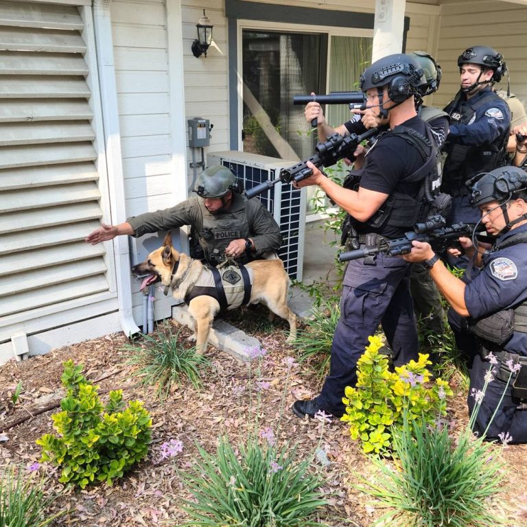 Tactical K9 / SWAT – Paraclete K9