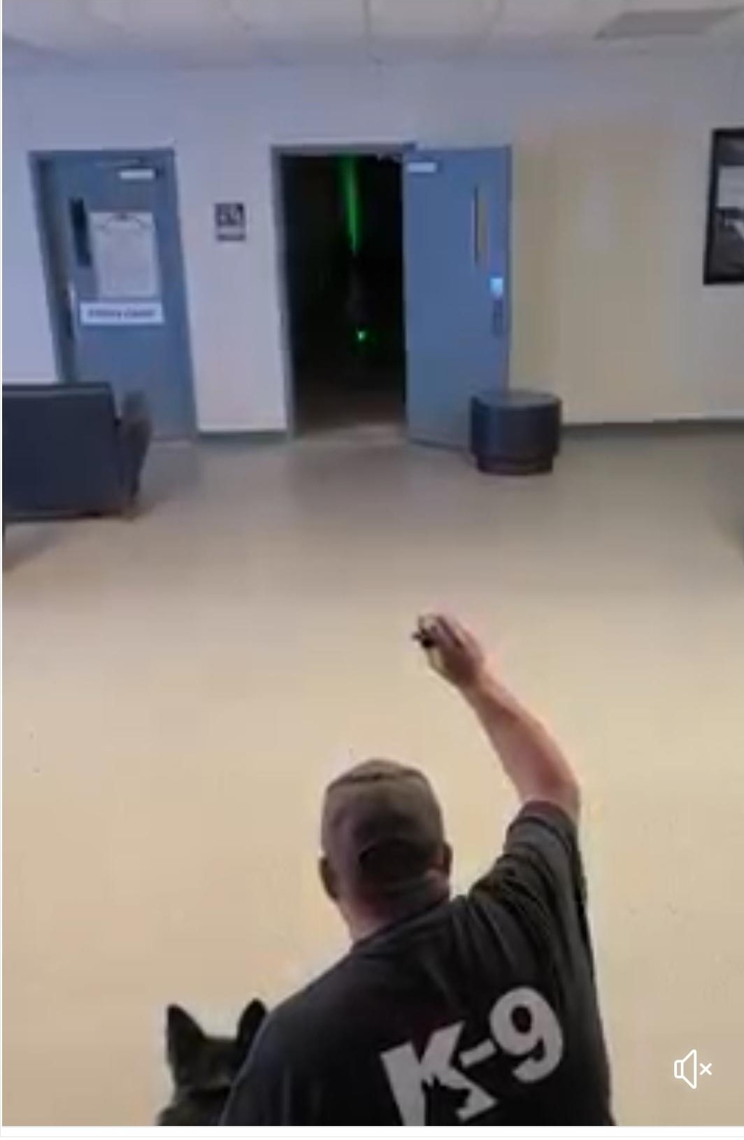 Laser Directional – Paraclete K9