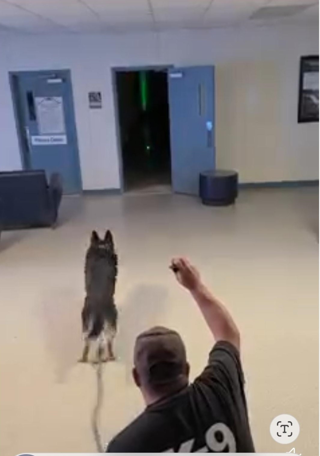 Laser Directional – Paraclete K9